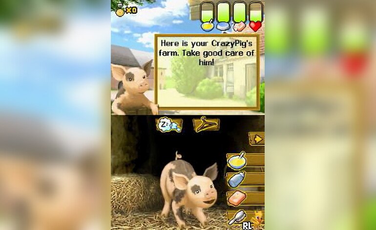 Play Crazy Pig (Europe) (En, Fr, De, Es, It, Nl) • Nintendo DS GamePhD