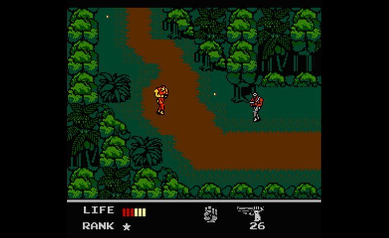 Play Snake's Revenge (USA) • NES GamePhD